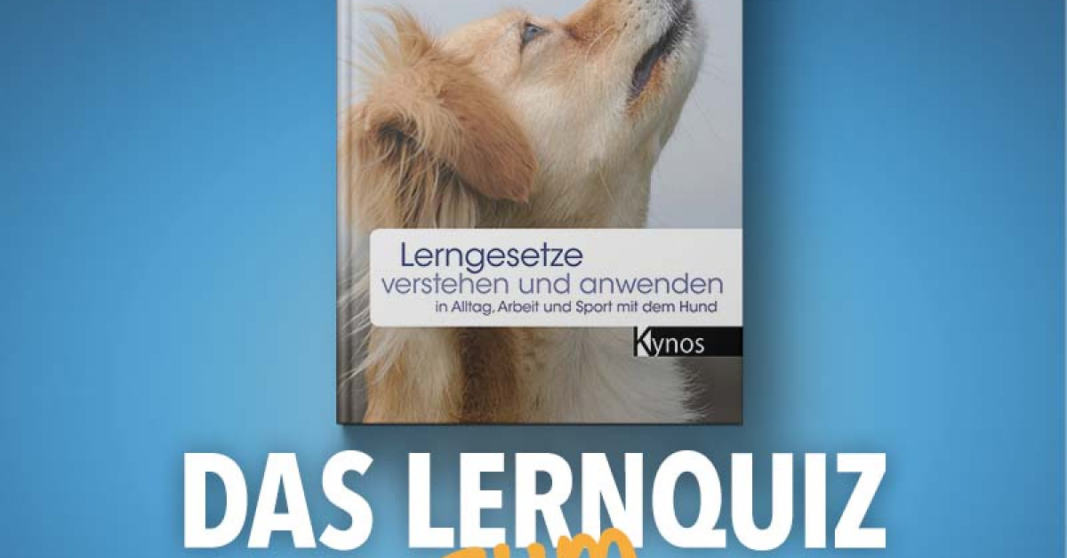 DAS Lernquiz zum Fachbuch „Lerngesetze verstehen und anwenden“ - Ziemer ...